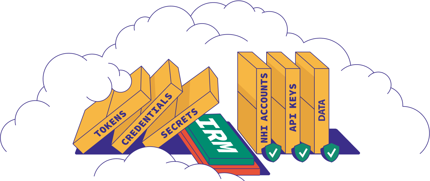 Program Guide: The Blueprint on Identity Risk Management